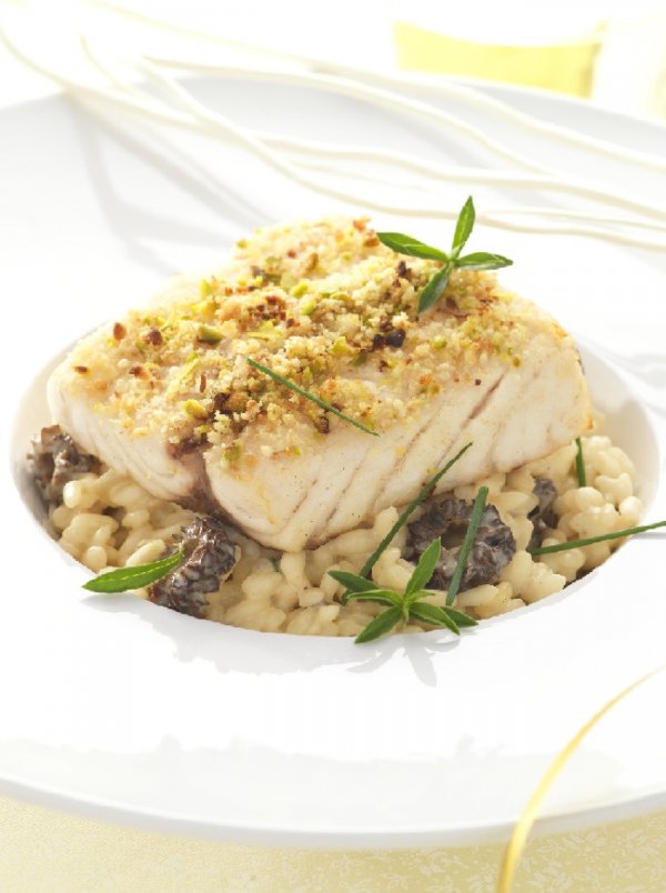 Filet de maigre, fine chapelure de pistache et risotto aux morilles ...